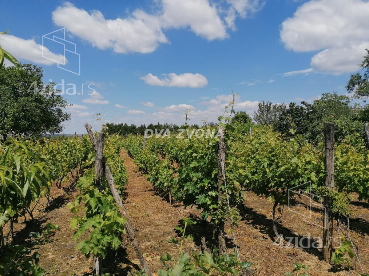 Kuća na prodaju, Novi Slankamen, 432.600€, 26m²