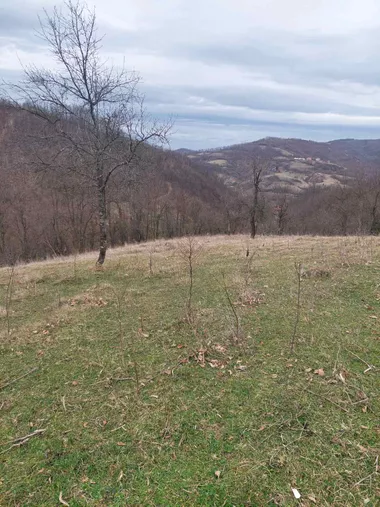 Prodaja kuća Gornji Milanovac - 4zida