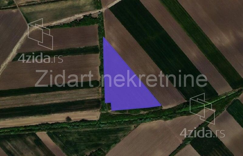 Poljoprivredno zemljište na prodaju, Boljevci, 90.000€, 167.0a